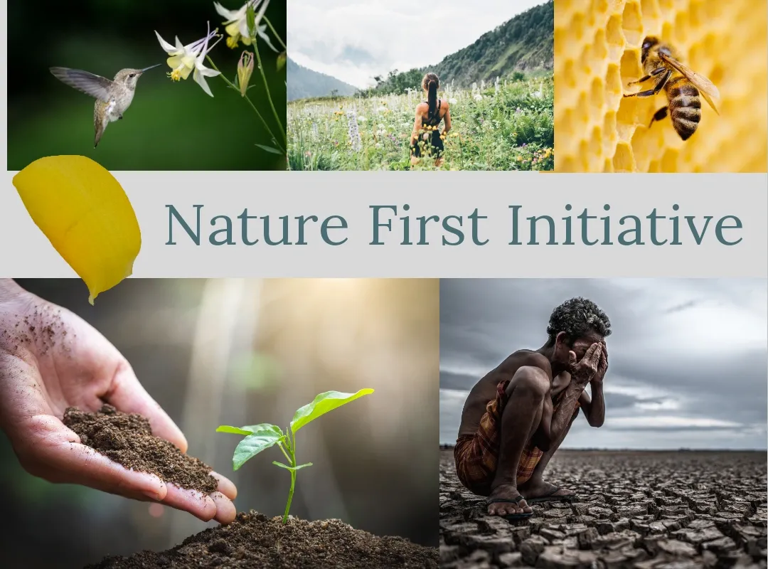 Nature First Initiative – Peace President United